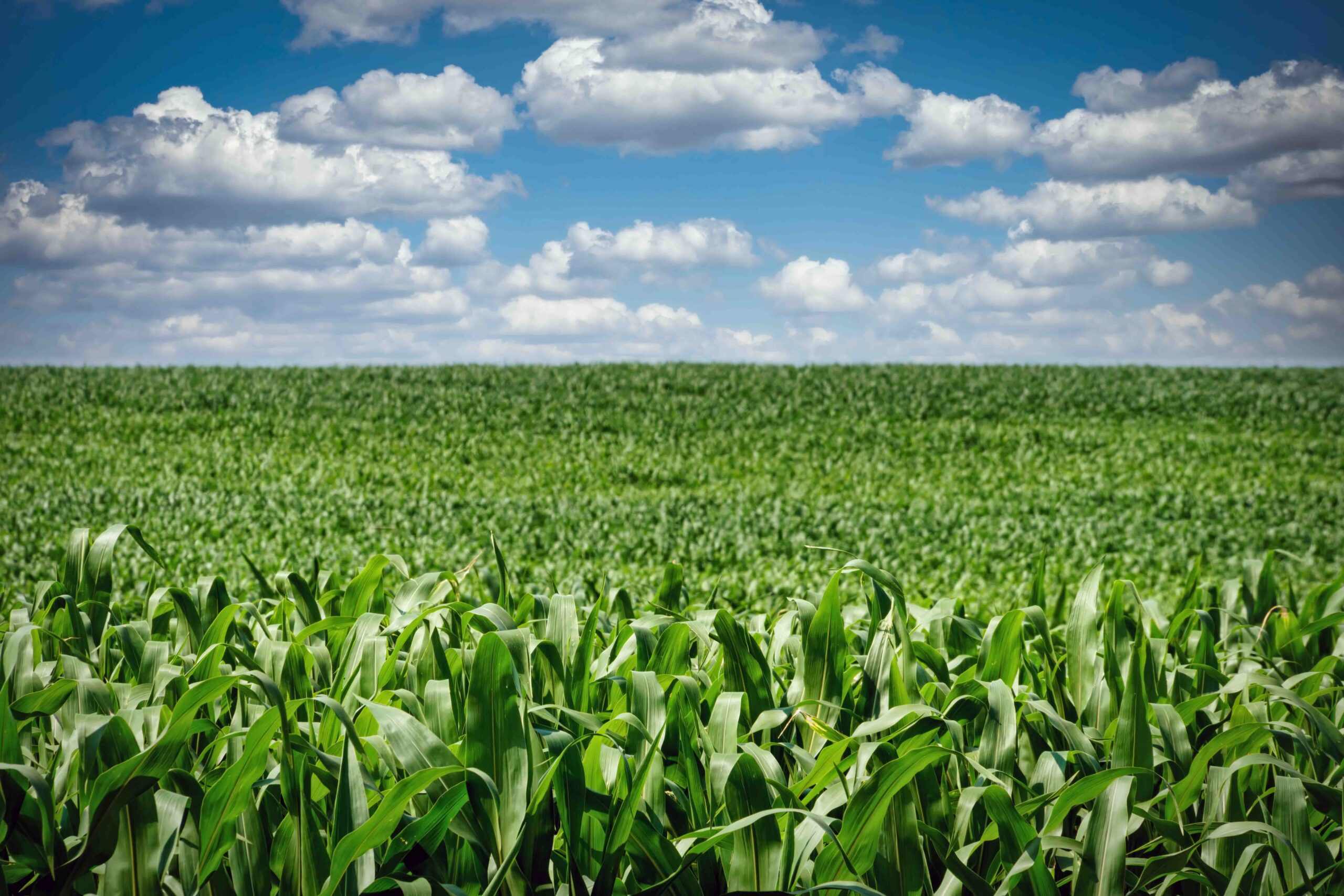 Precision Selling: Building Relationships with Large Farmers